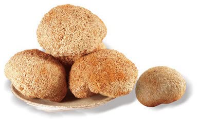delicious mushrooms for cooking