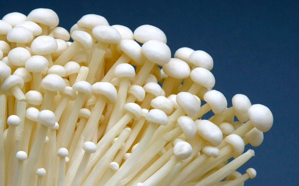 delicious mushrooms for healthy meals