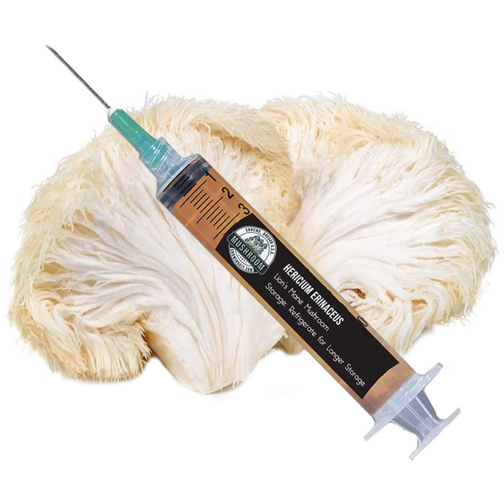 Delicious mushrooms from Lion's Mane spores
