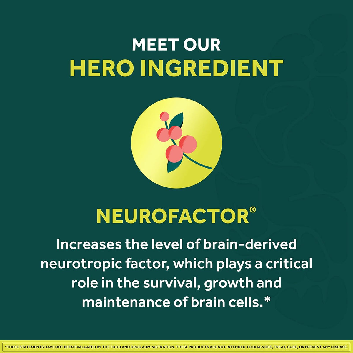 Delicious NEURIVA energy gummies