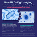 Delicious Nicotinamide gummies for adults