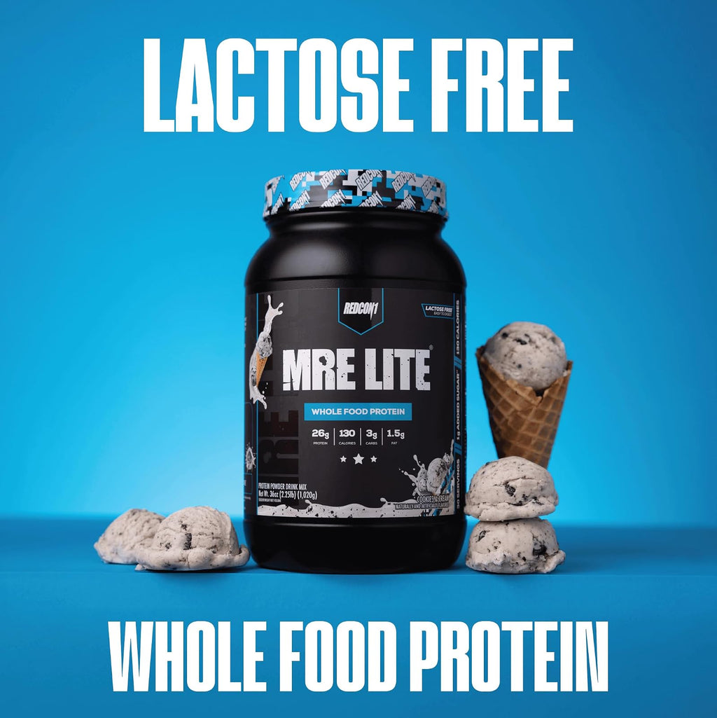 delicious oatmeal chocolate chip protein shake