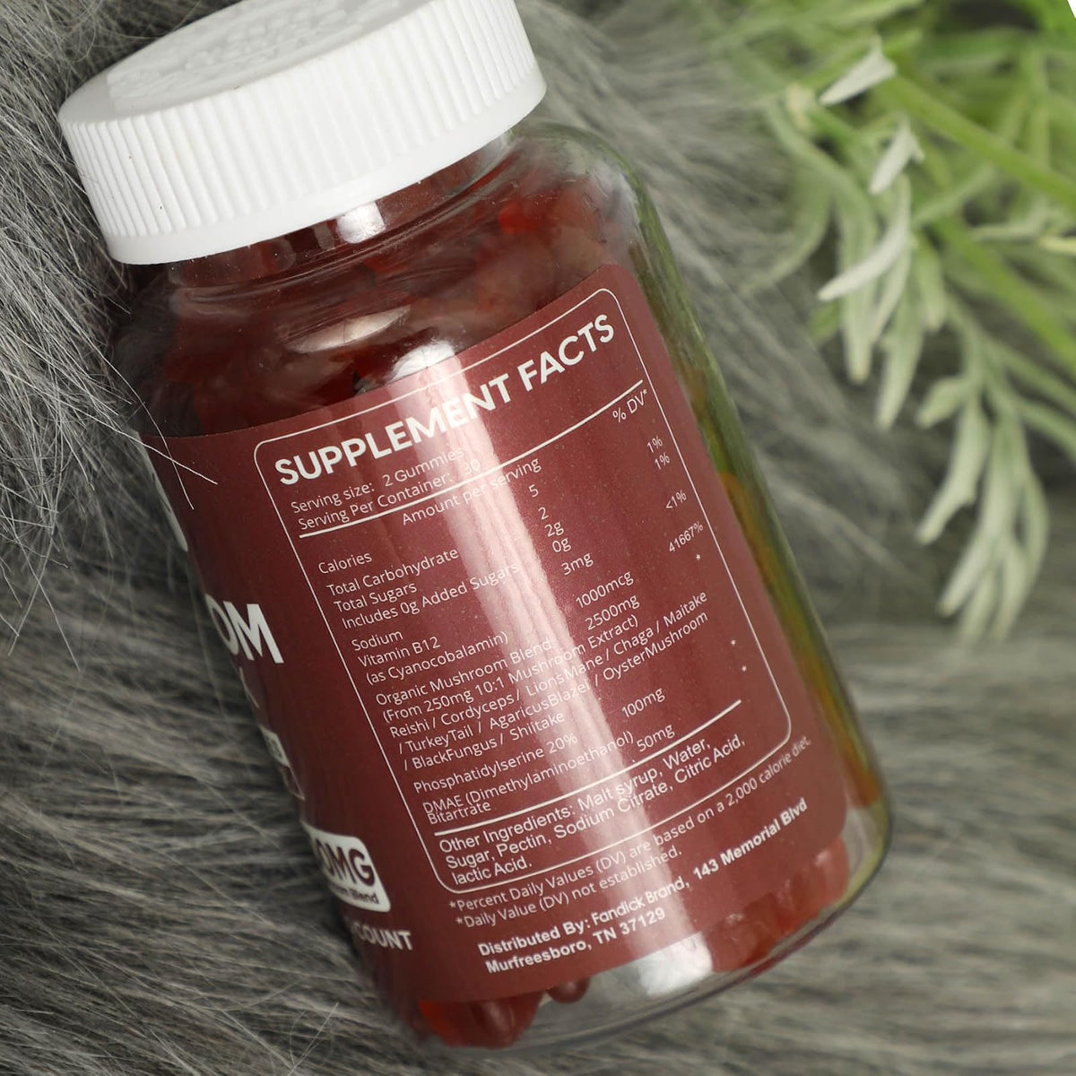 delicious organic mushroom treats