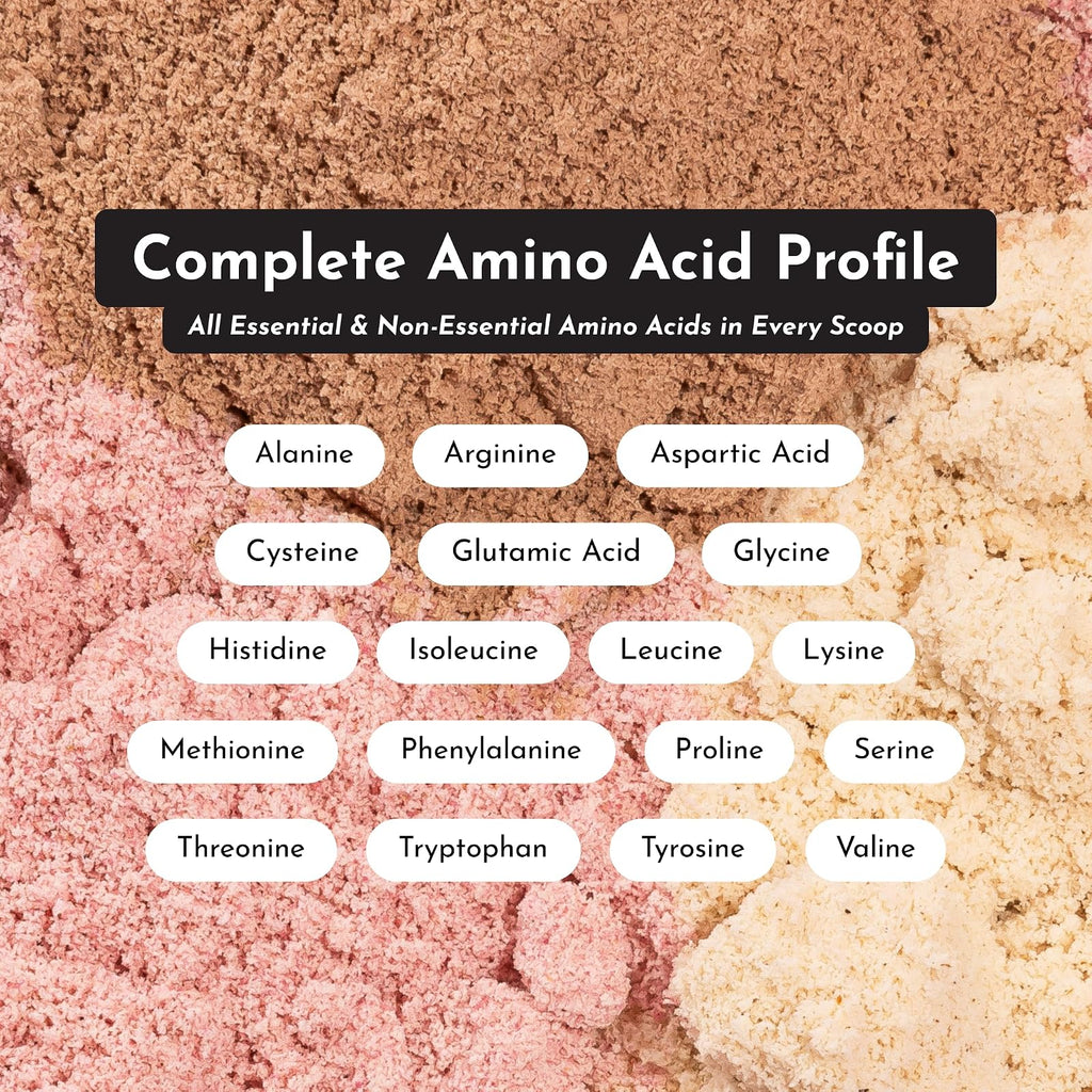 delicious peanut butter whey protein powder
