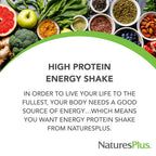 delicious plant based protein powder