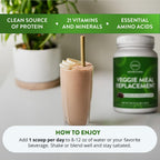 delicious plant based protein shake
