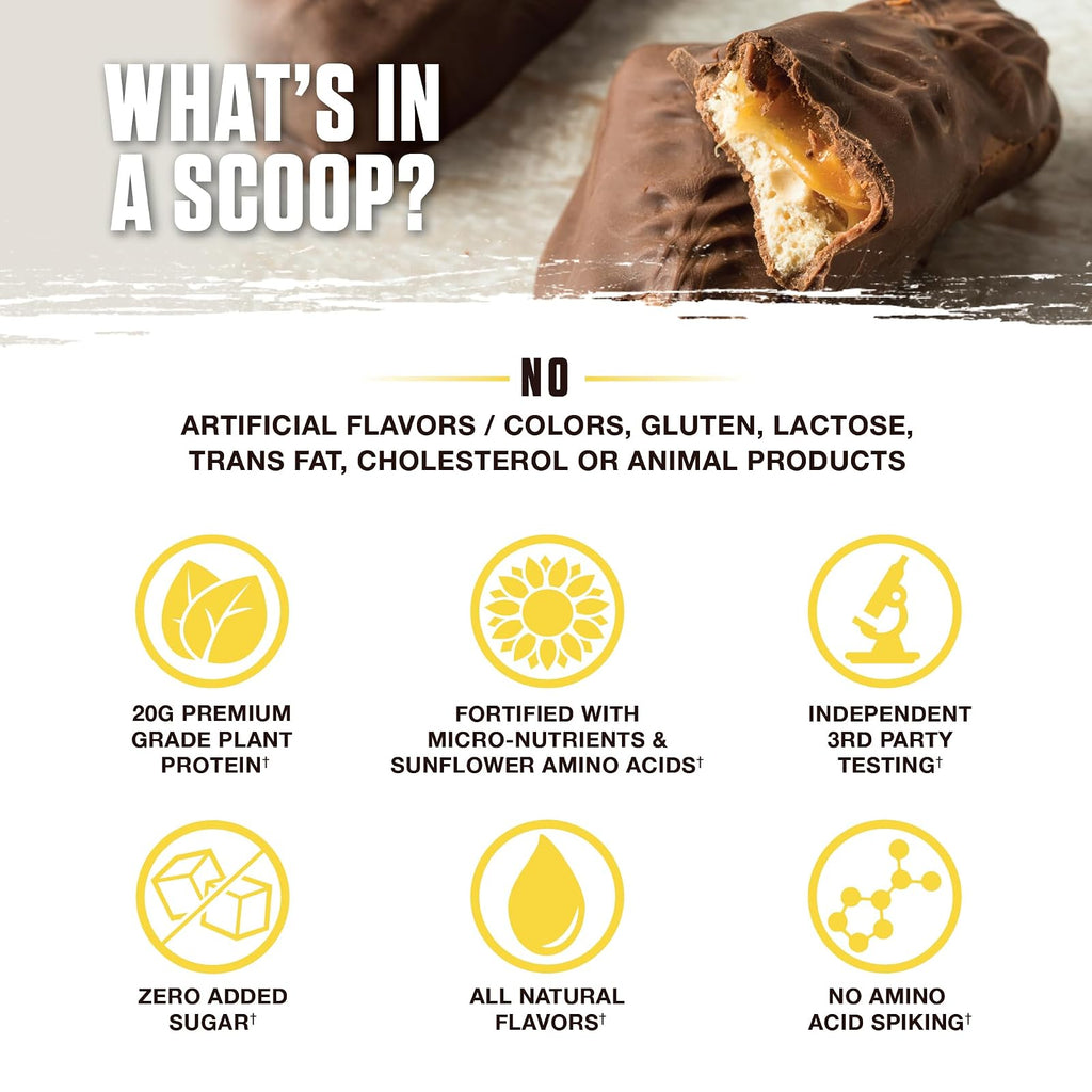 Delicious plant protein for post-workout
