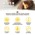 Delicious plant protein for post-workout
