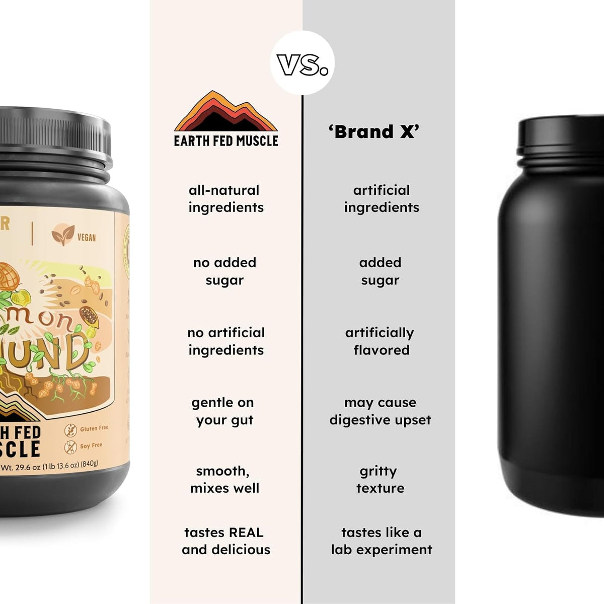 delicious plant protein for smoothies
