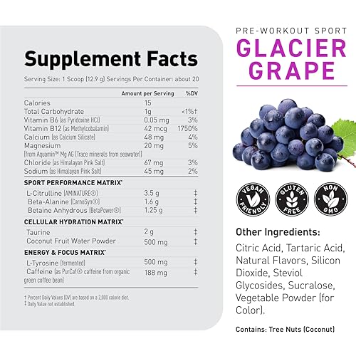 delicious pre-workout powder for performance