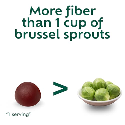 delicious prebiotic fiber gummy supplements