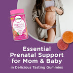 delicious prenatal gummy vitamins for pregnancy
