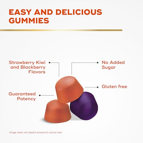 Delicious probiotic gummies for daily wellness
