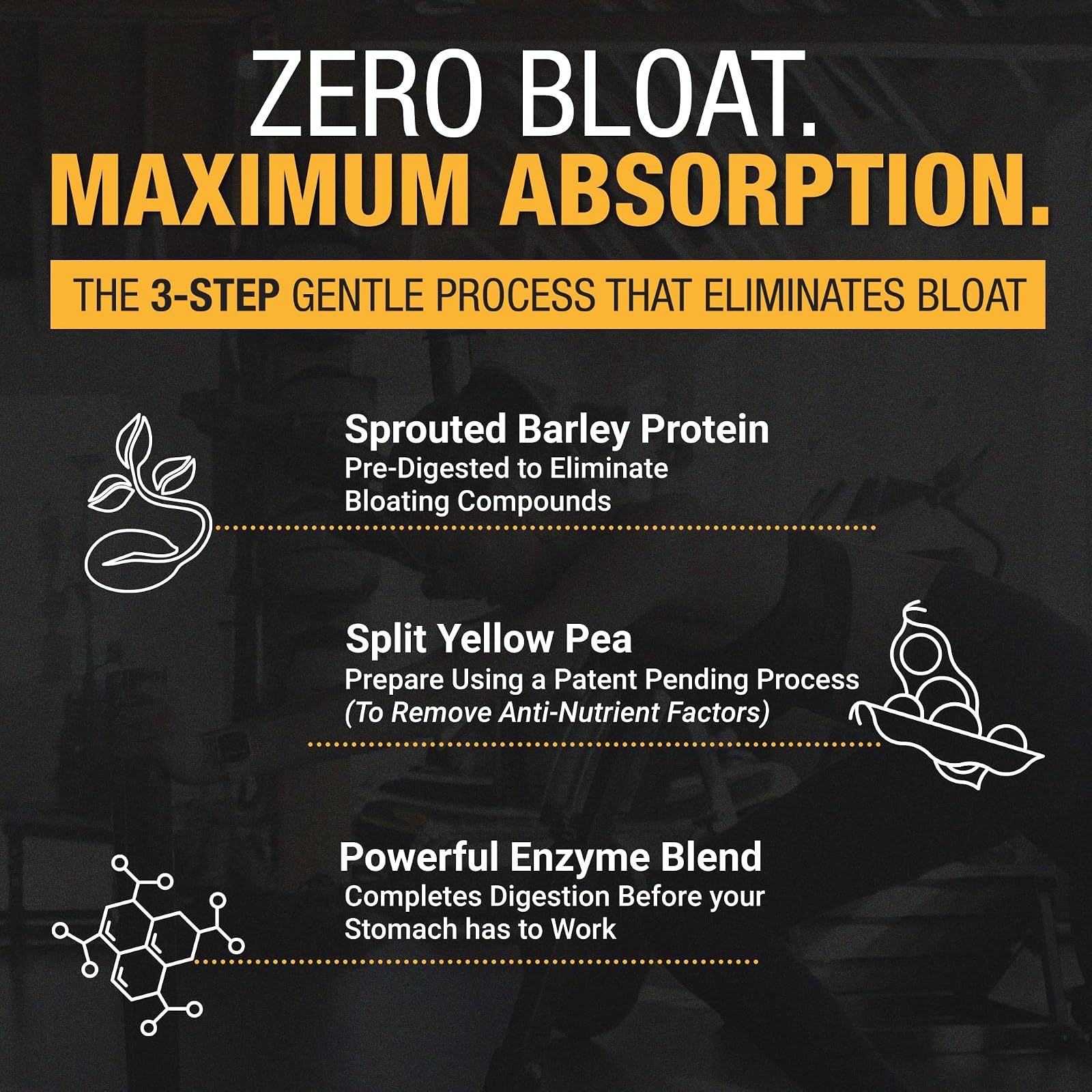 delicious protein powder for shakes
