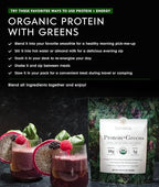 delicious protein powder for smoothies