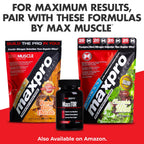 delicious protein powder for workouts