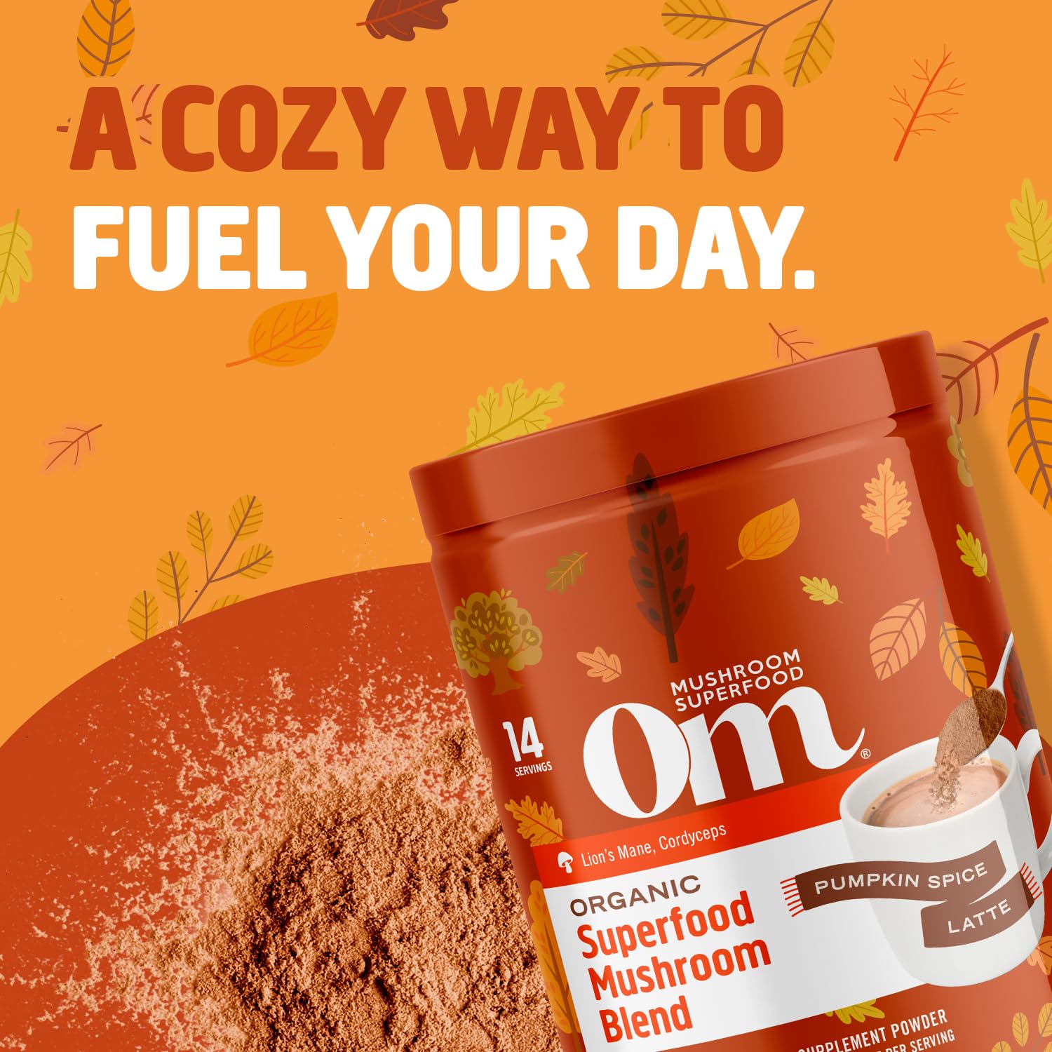 delicious pumpkin spice mushroom drink