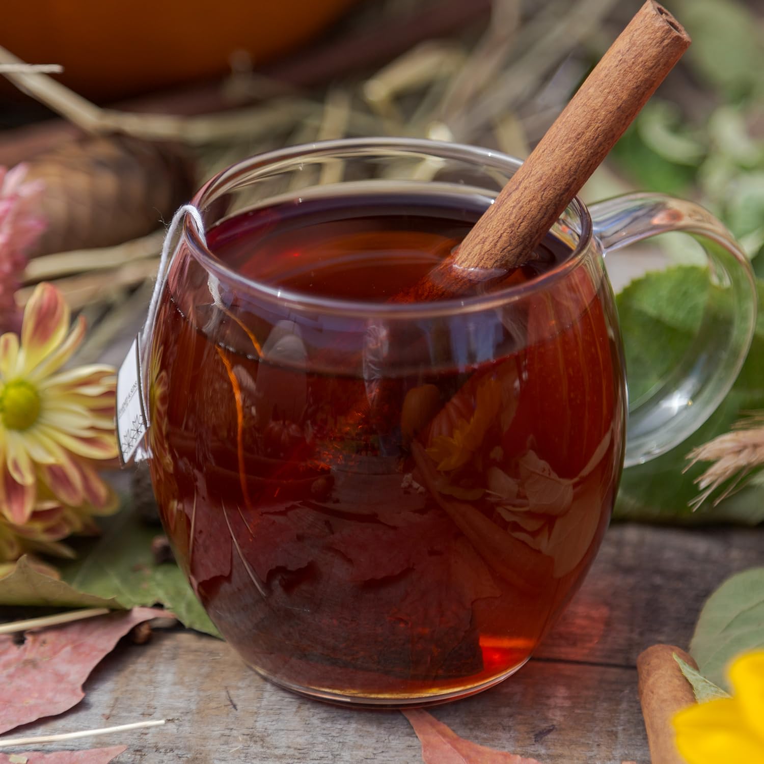 delicious pumpkin spice tea bags