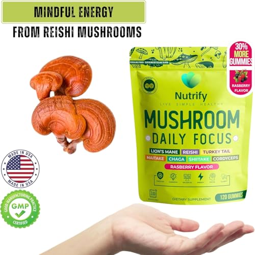 Delicious raspberry flavour mushroom gummies
