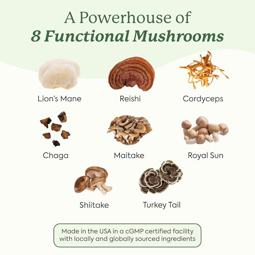 delicious raspberry flavour mushroom supplements