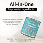 Delicious sea moss gummies for energy