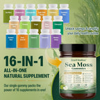 Delicious sea moss gummies for nutrition
