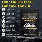 Delicious Shilajit gummies for wellness