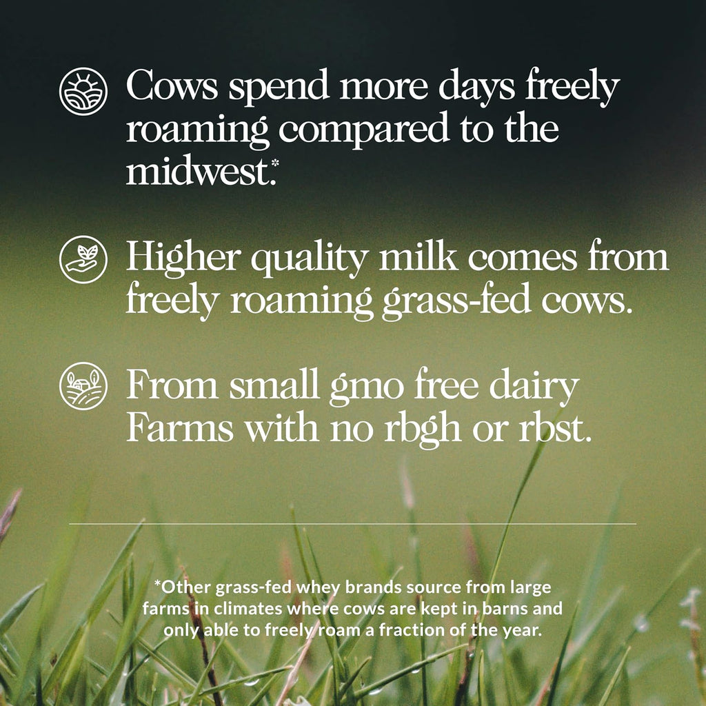 delicious strawberry flavour protein supplement