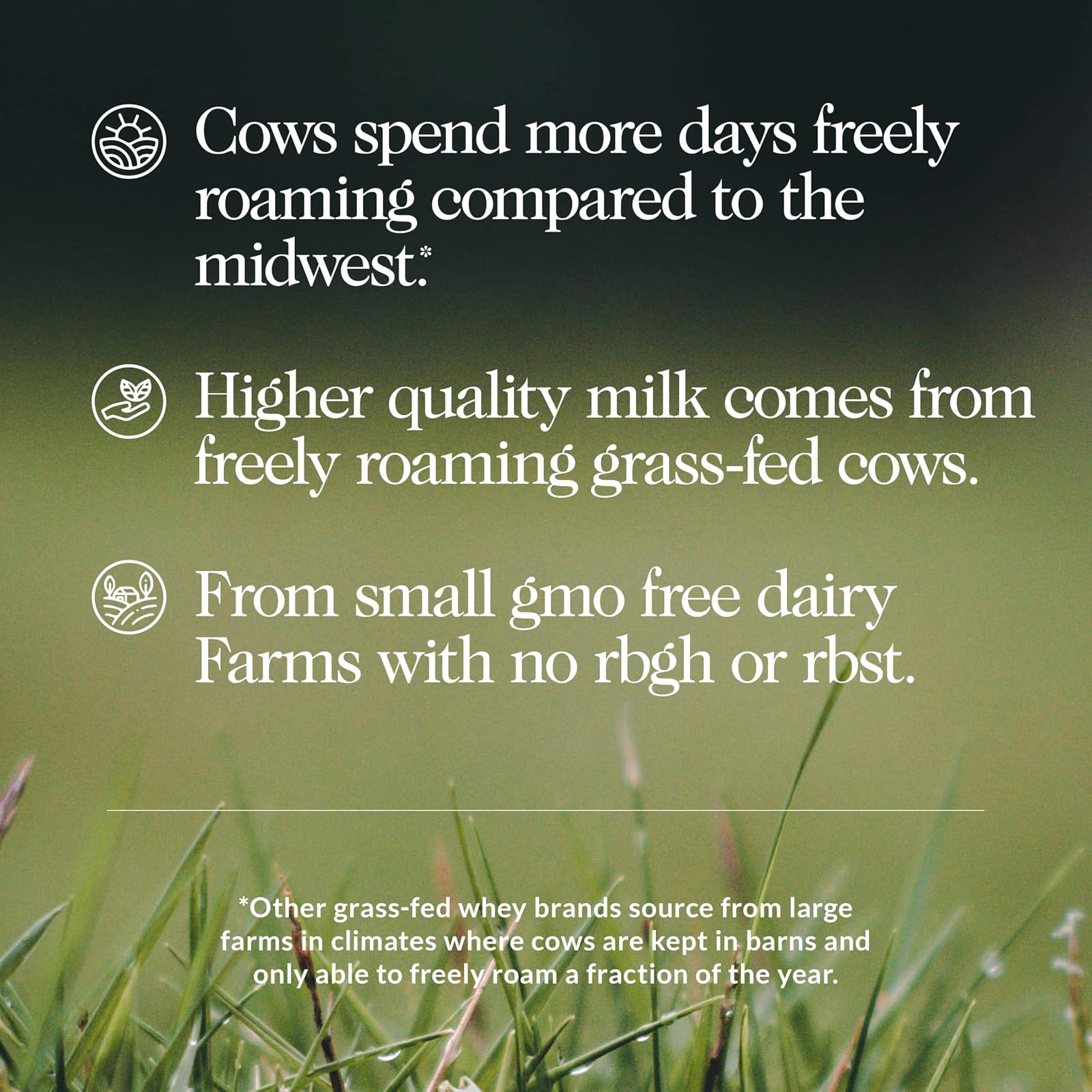 delicious strawberry flavour protein supplement