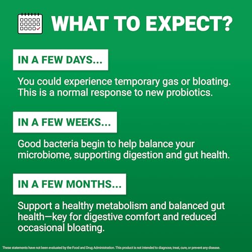 delicious superfood chews for health