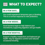 delicious superfood chews for health