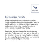 Delicious vanilla BCAA supplement for athletes