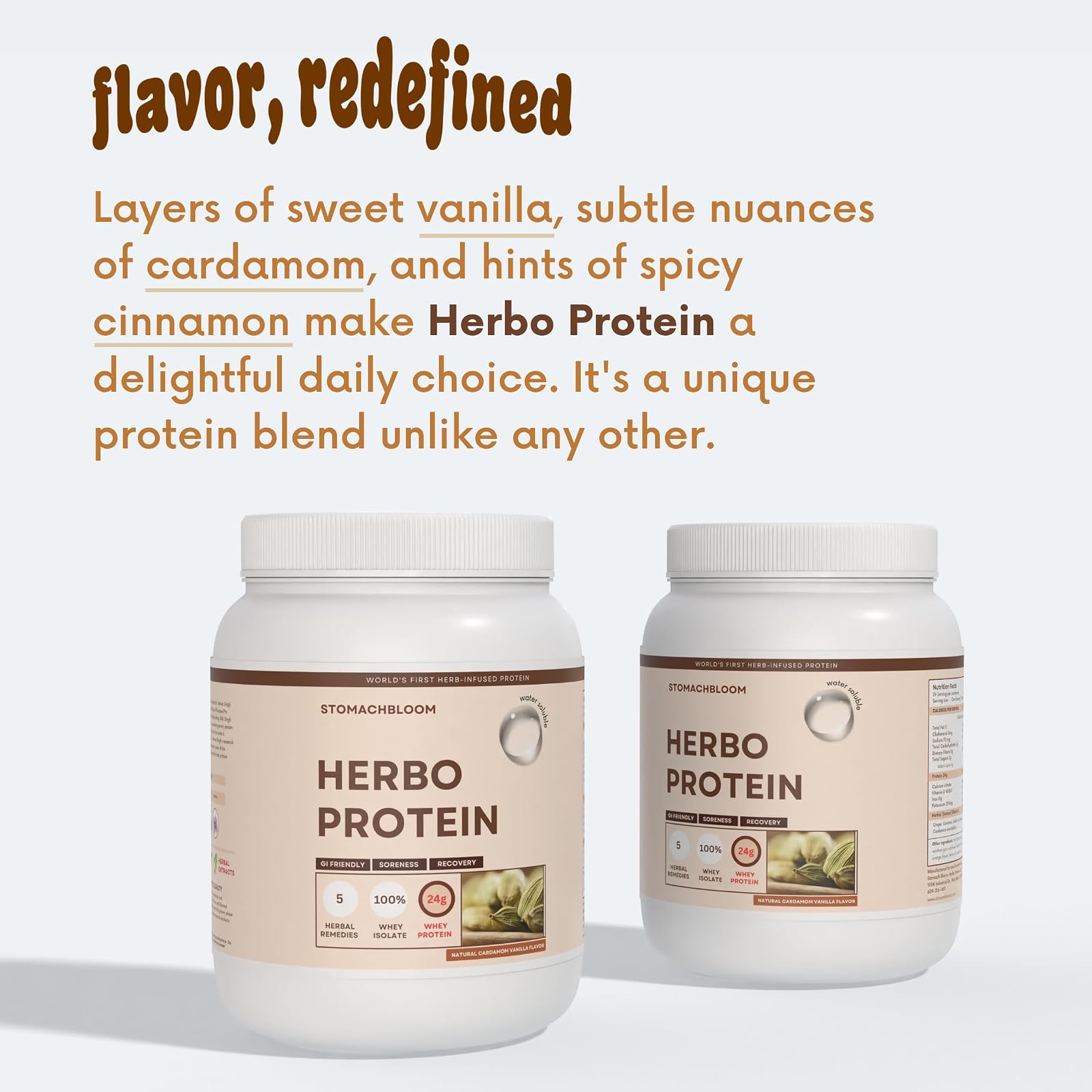 delicious vanilla cinnamon protein shake