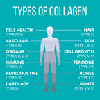 delicious vanilla collagen creamer