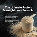 delicious vanilla cream whey protein powder