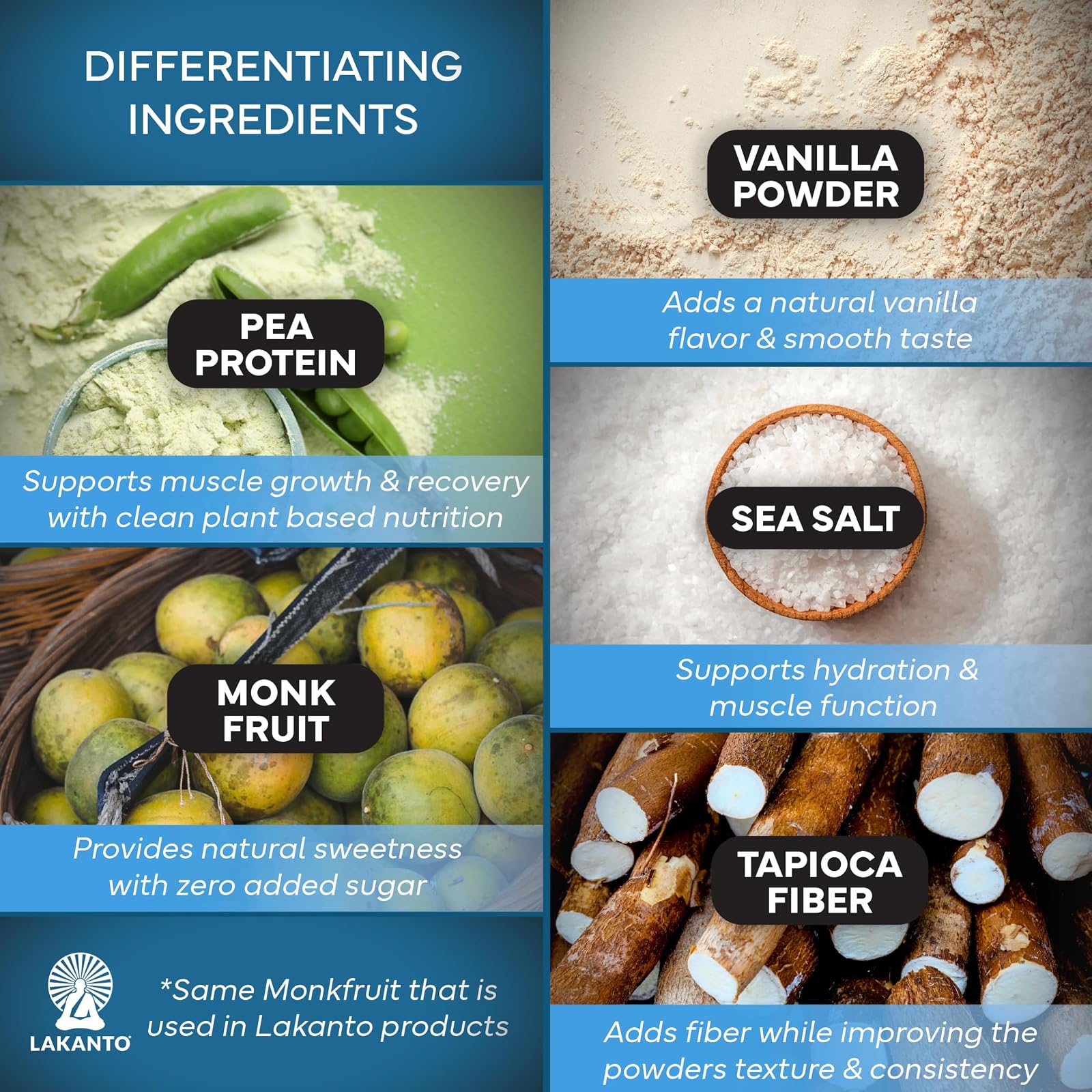 delicious vanilla flavour plant protein powder