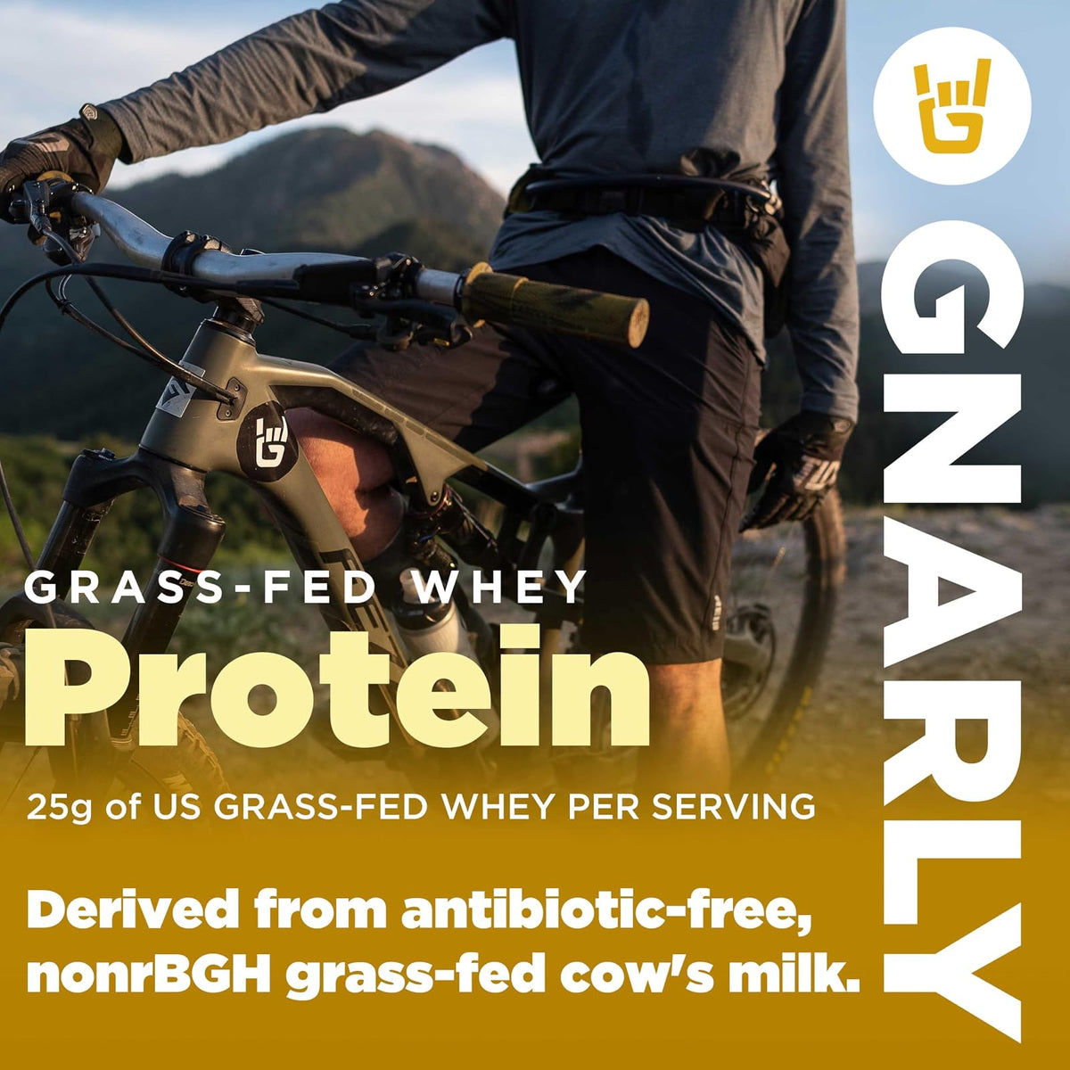 delicious vanilla flavour protein powder