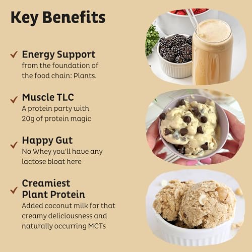 delicious vanilla plant protein option