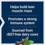 delicious vanilla protein shake mix