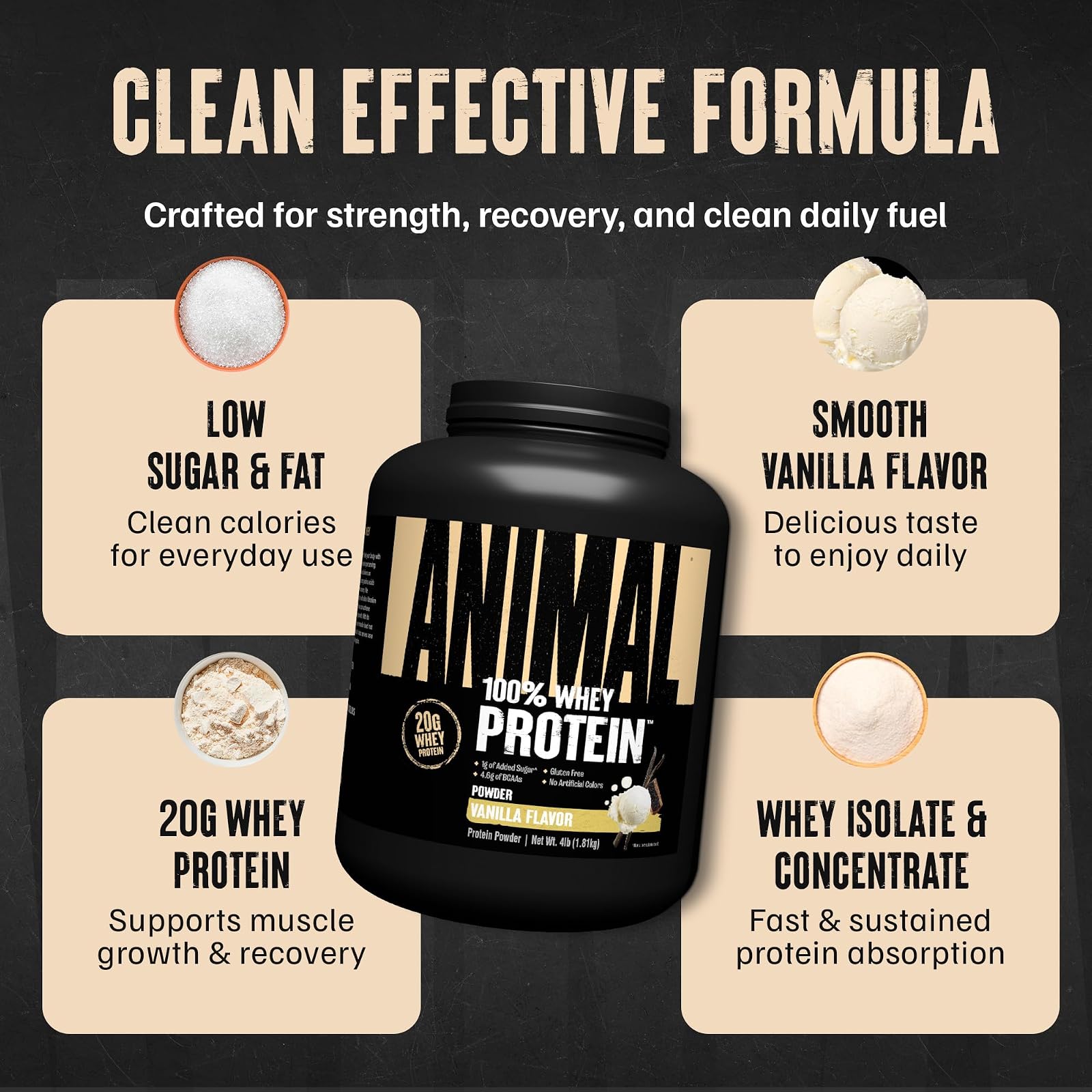 delicious vanilla protein supplement
