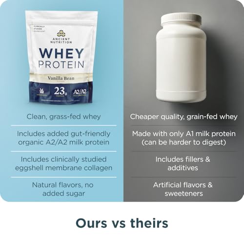 delicious vanilla whey protein powder