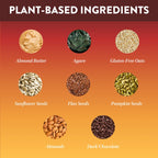delicious vegan protein energy boost
