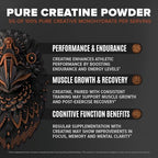 delicious vegan protein powder flavour