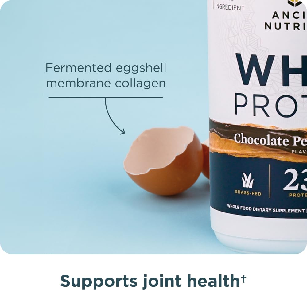 delicious whey protein chocolate flavour