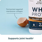 delicious whey protein chocolate flavour