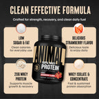 delicious whey protein for post-workout