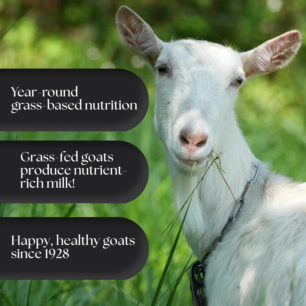 delicious whey protein for smoothies
