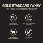 delicious whey protein for workouts