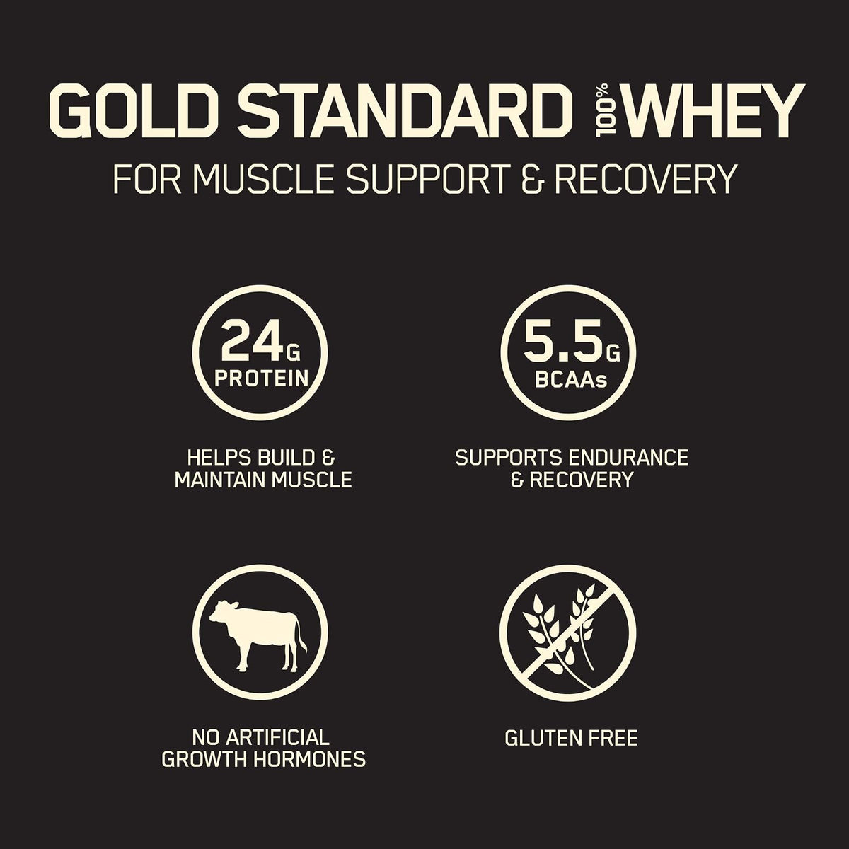 delicious whey protein for workouts