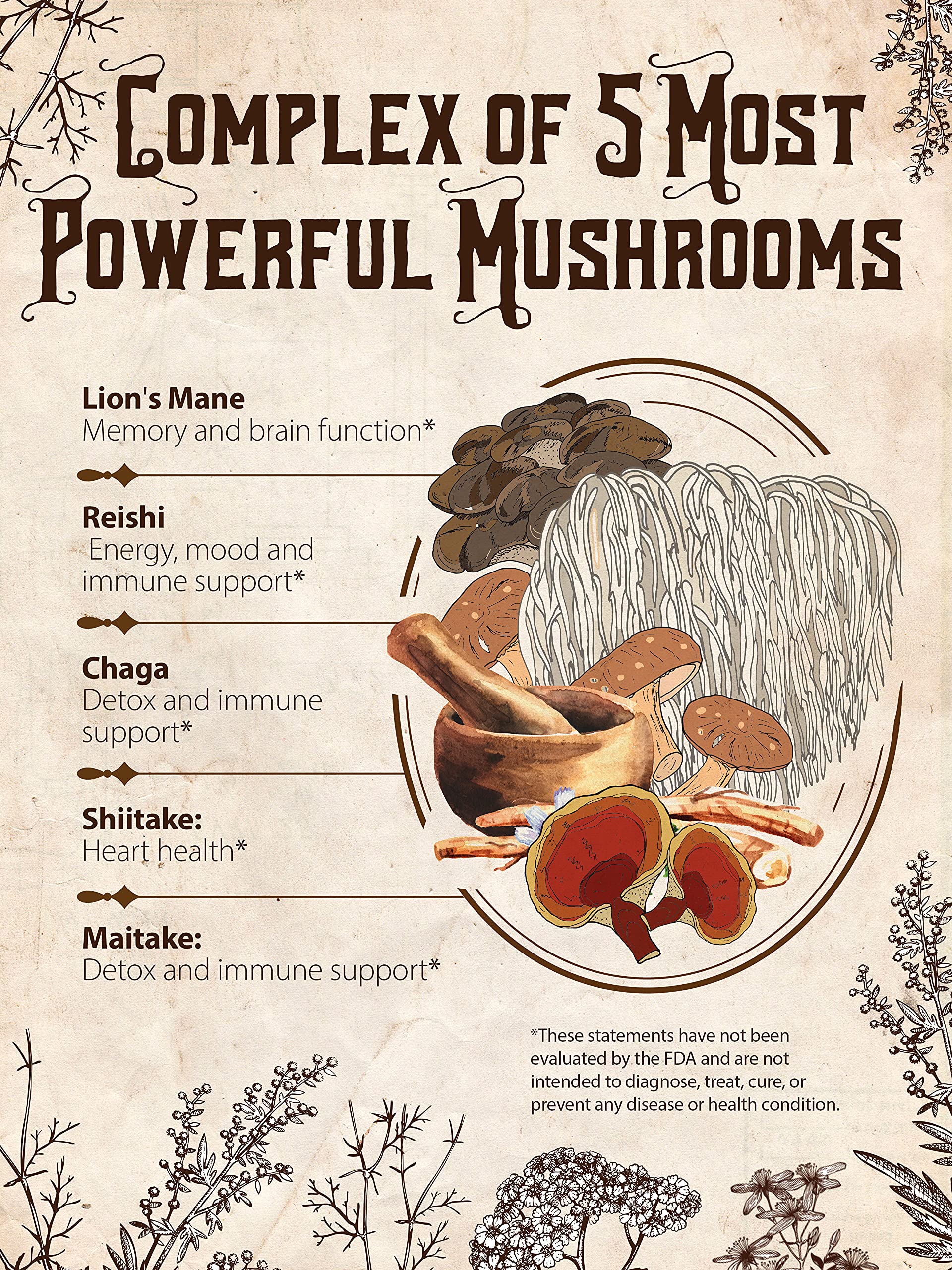 Detox cleanse with Lion's Mane and Chaga